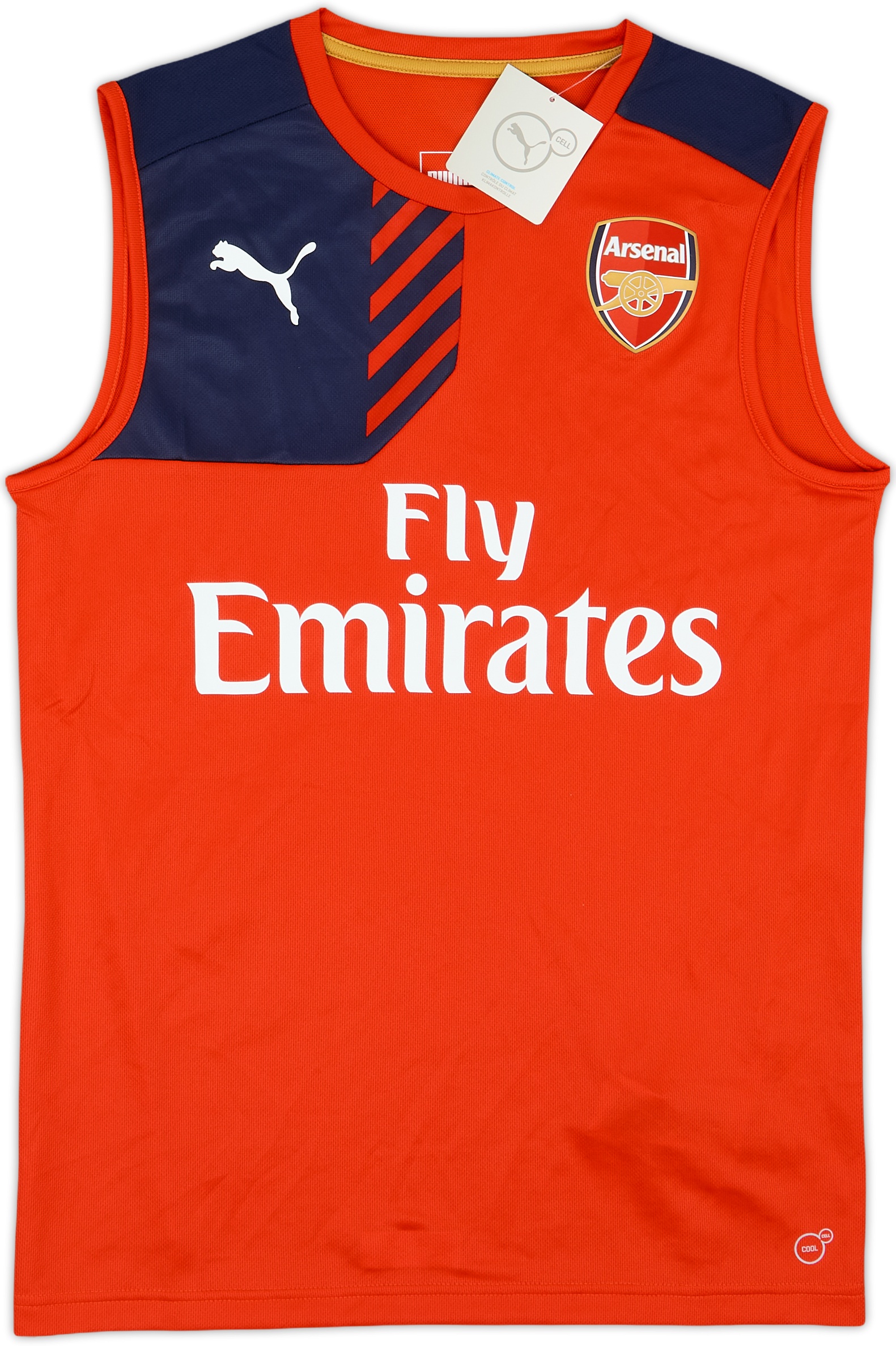 2015-16 Arsenal Puma Training Vest (S)