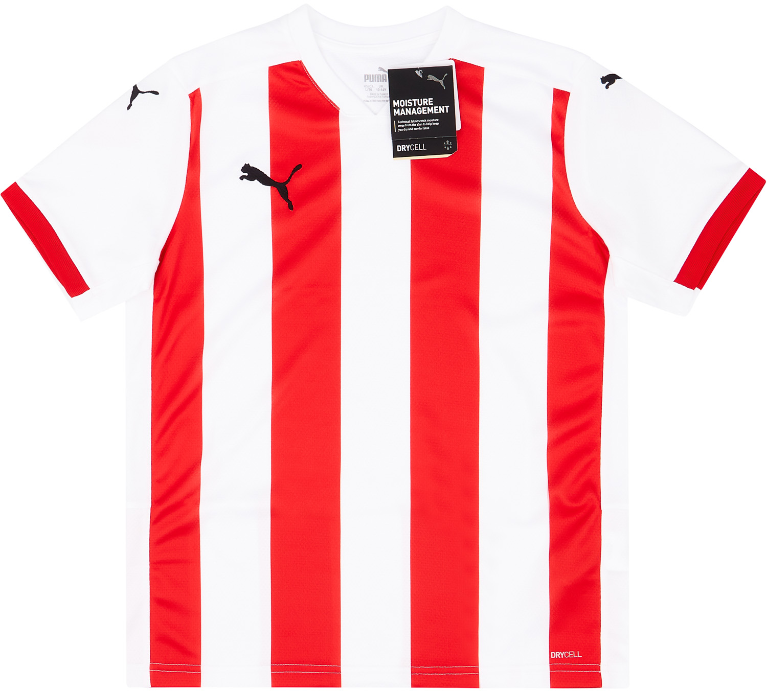 2020 21 Puma Template Shirt KIDS 2020-21-puma-template-shirt-kids