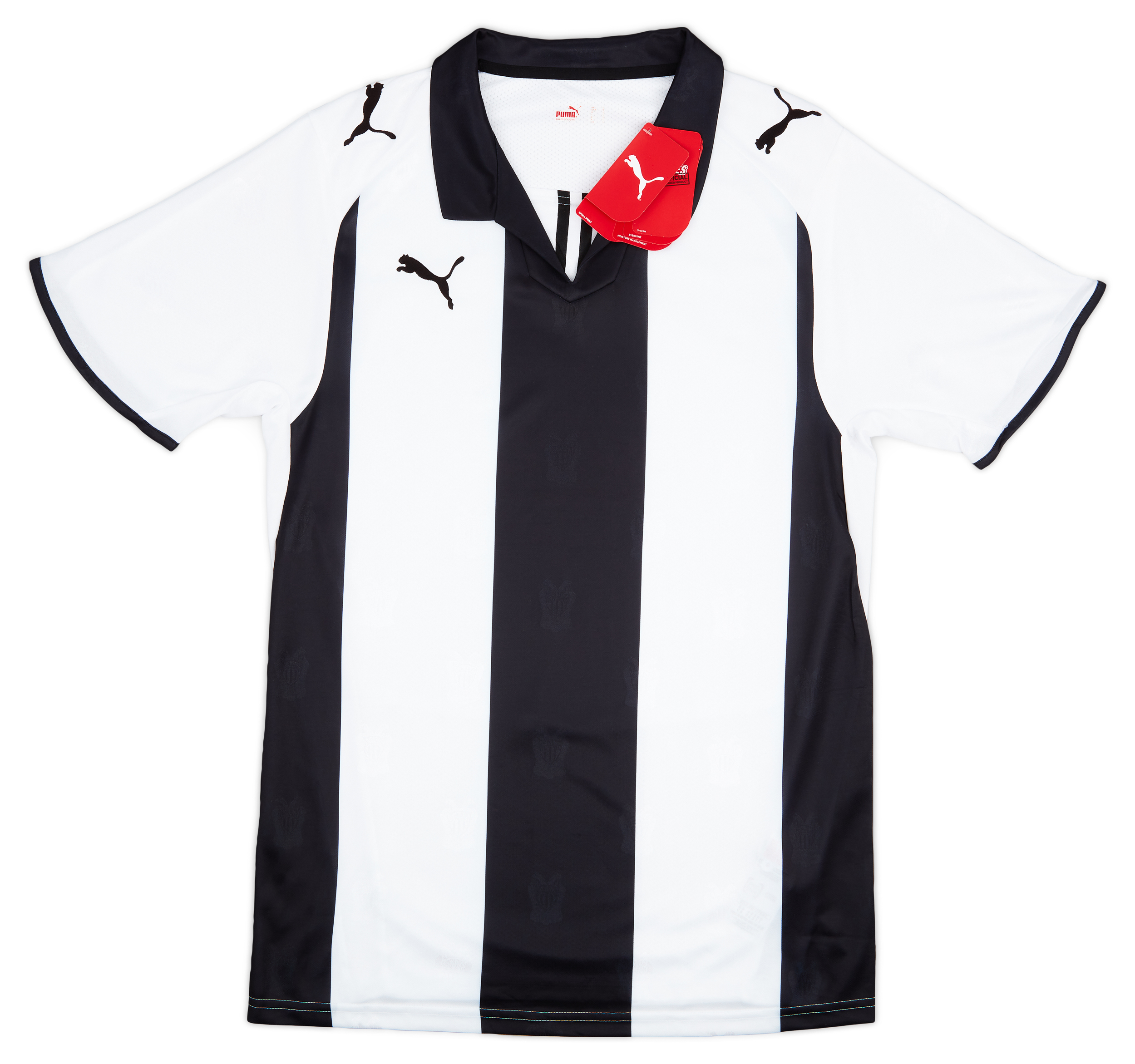 2010-11 Puma Template Shirt
